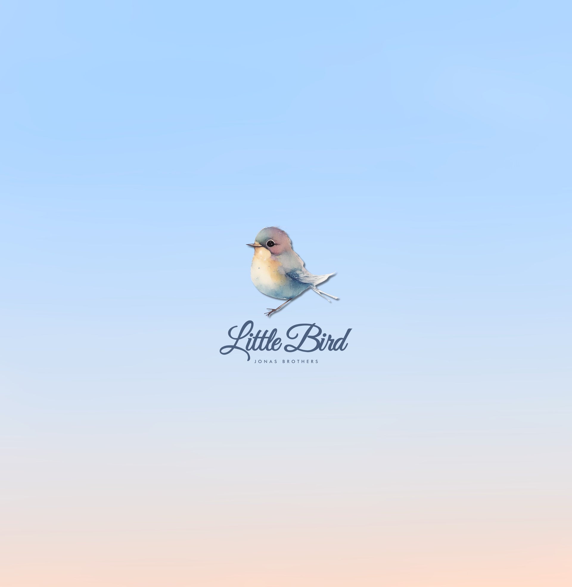 THE MERCH | Jonas Brothers | Official Shop